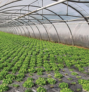 Different Colored Tarps | Miller Weldmaster